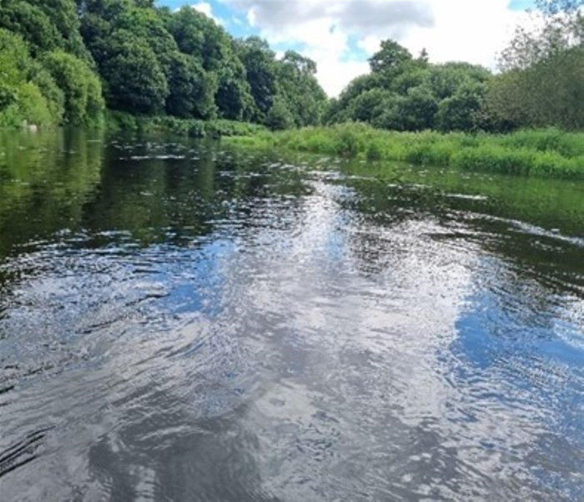 FishPal - - Blackwater Valley Fishery - Ballyduff Bridge - Blackwater ...