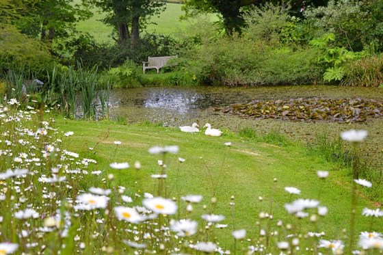 Burrow Farm Gardens - Axminster | Gardens | Britain's Finest