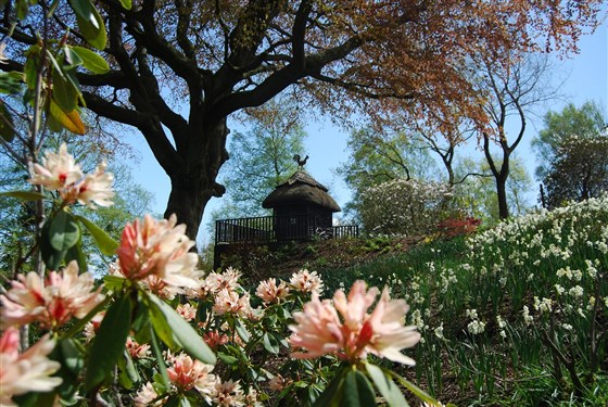 The Himalayan Garden & Sculpture Park - Ripon | Gardens | Britain's Finest