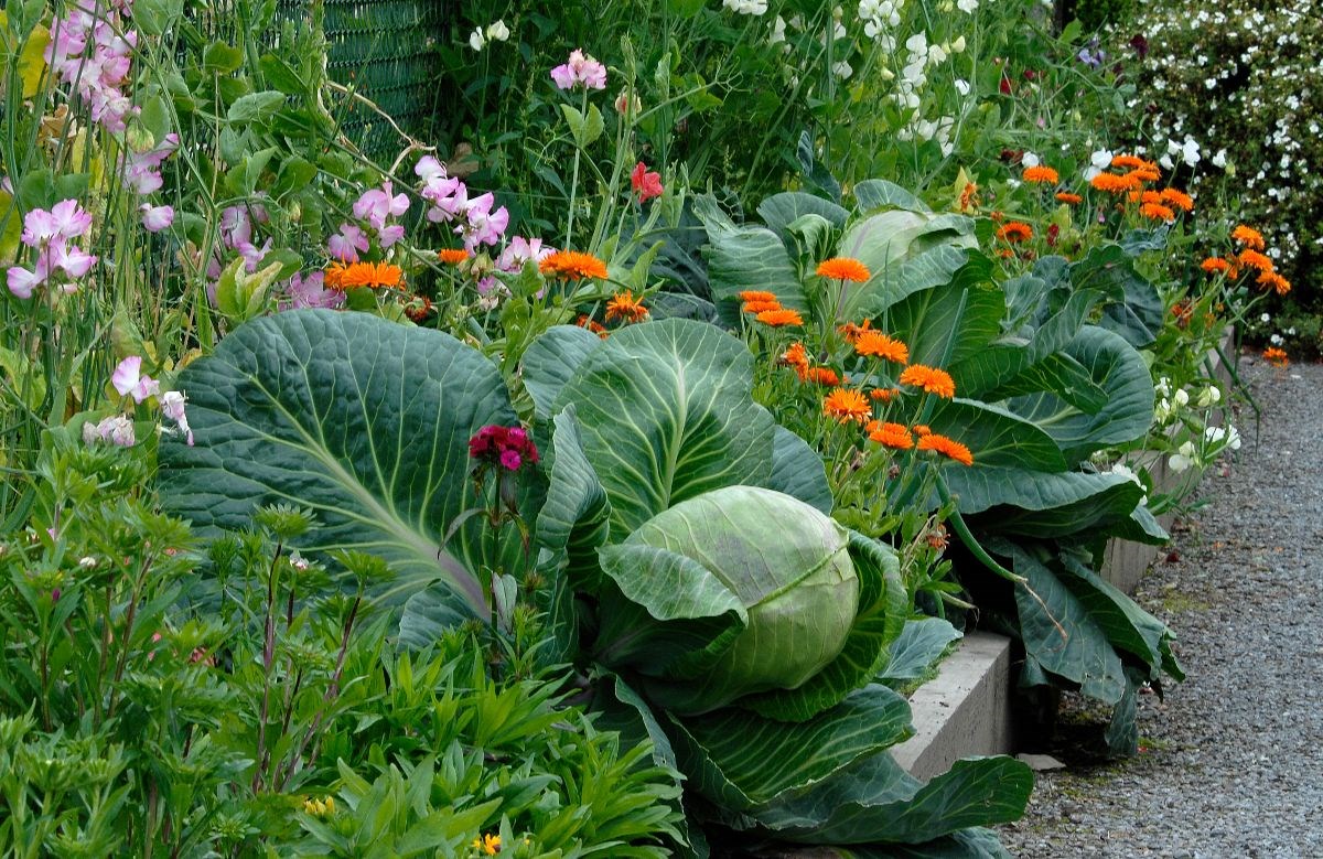 Kailzie Gardens - Peebles | Gardens | Britain's Finest