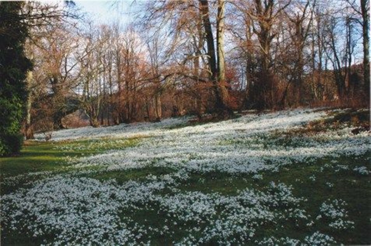 Kailzie Gardens - Peebles | Gardens | Britain's Finest