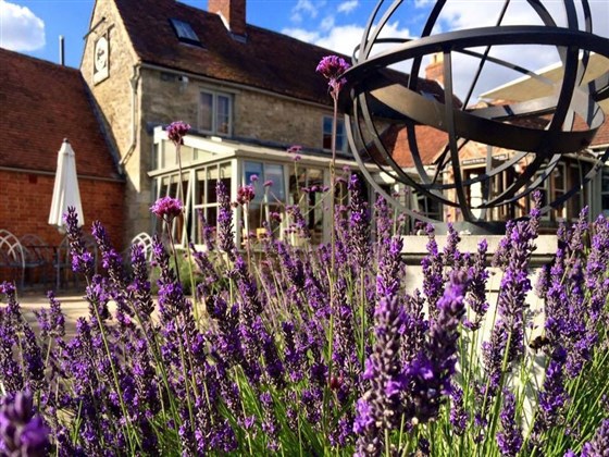 The Mole Inn - Oxford | Restaurants | Britain's Finest