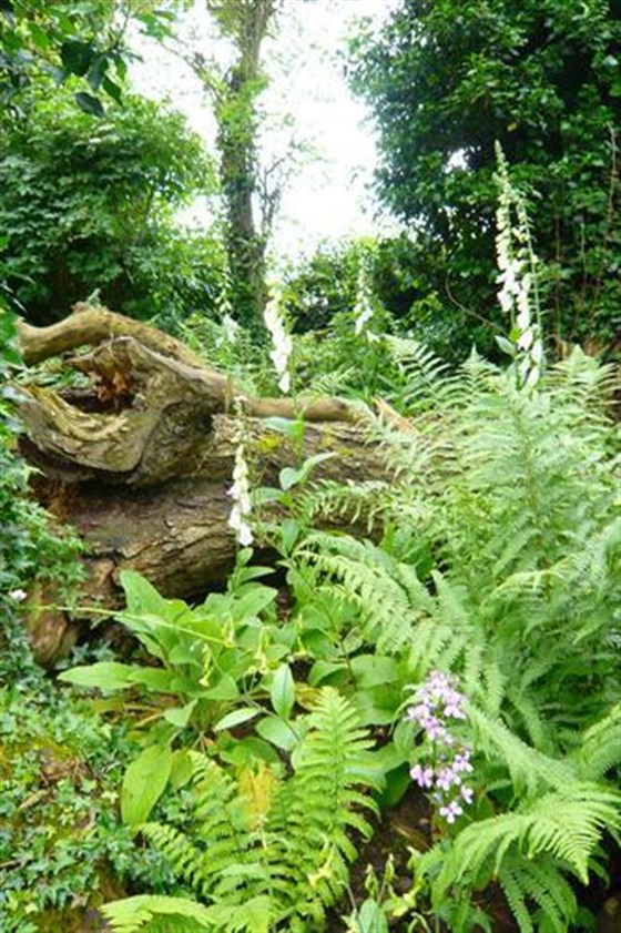 Beeleigh Abbey Gardens - Maldon | Gardens | Britain's Finest