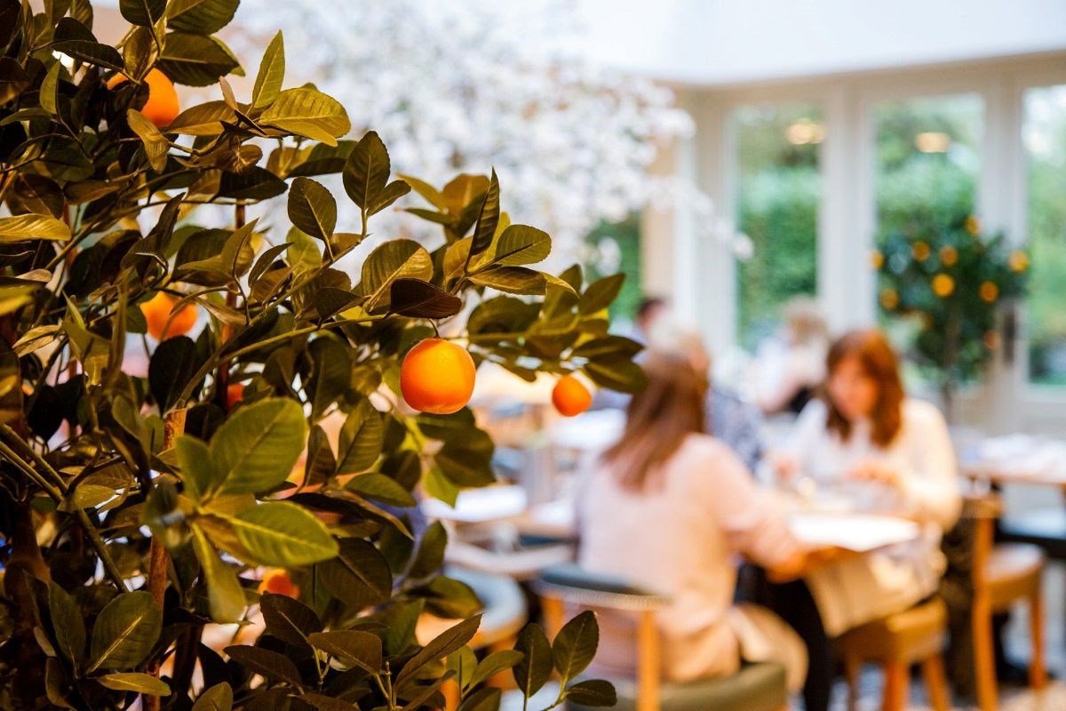 The Orangery Restaurant - Redditch | Restaurants | Britain's Finest
