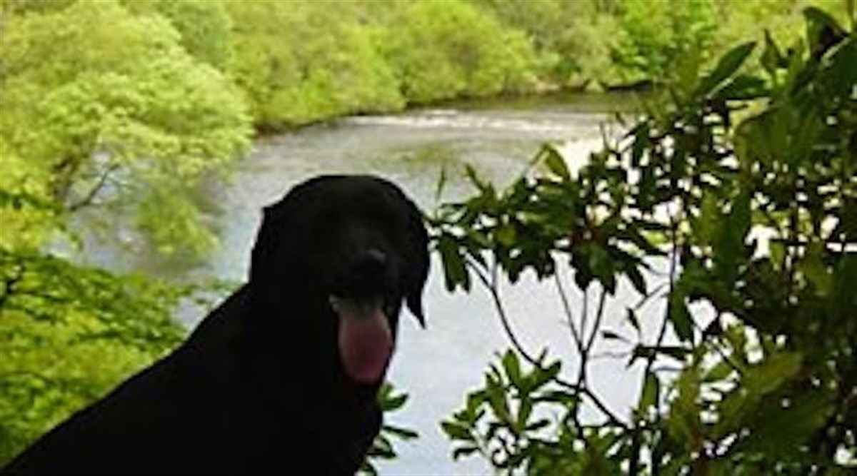 FishPal - Scotland - Esks - Stracathro