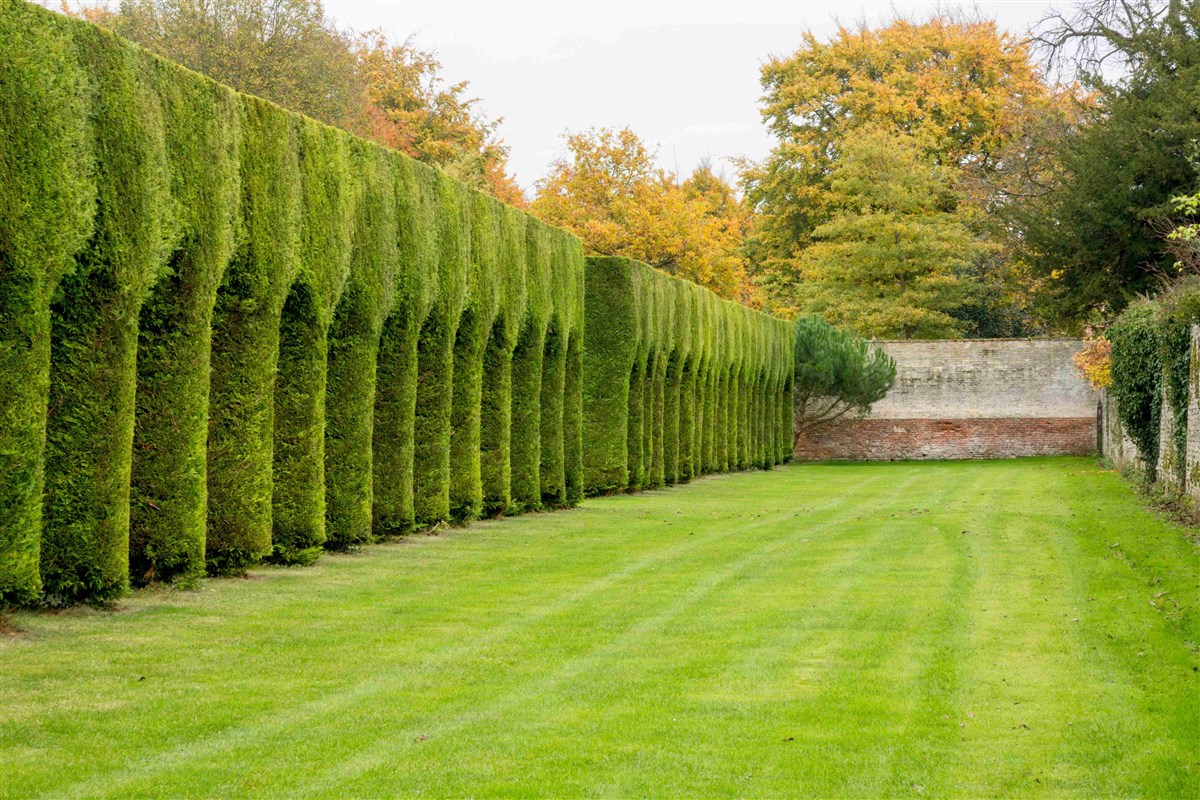 Chippenham Park Garden - Chippenham | Gardens | Britain's Finest