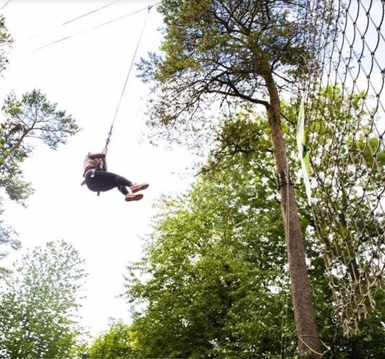 Go Ape Southampton - Southampton | Attractions & Activities | Britain's ...