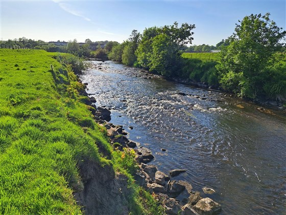 FishPal - Ireland - Roe - River Roe