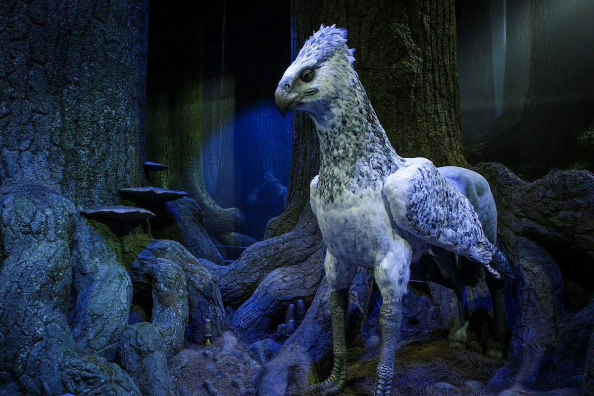 The Making of Harry Potter - Watford | Attractions & Activities ...