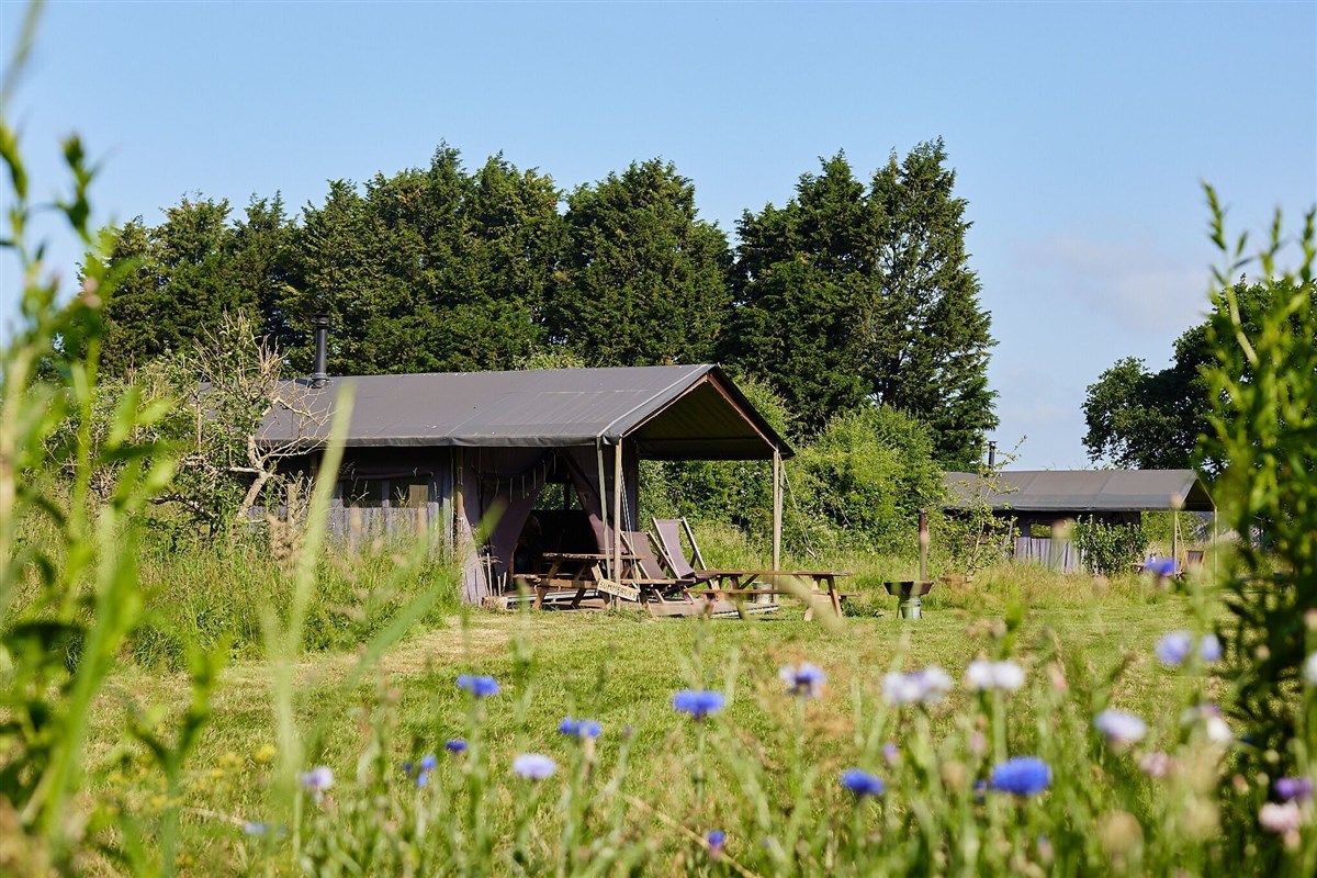 Feather Down Manor Farm - Alton | Glamping | Britain's Finest