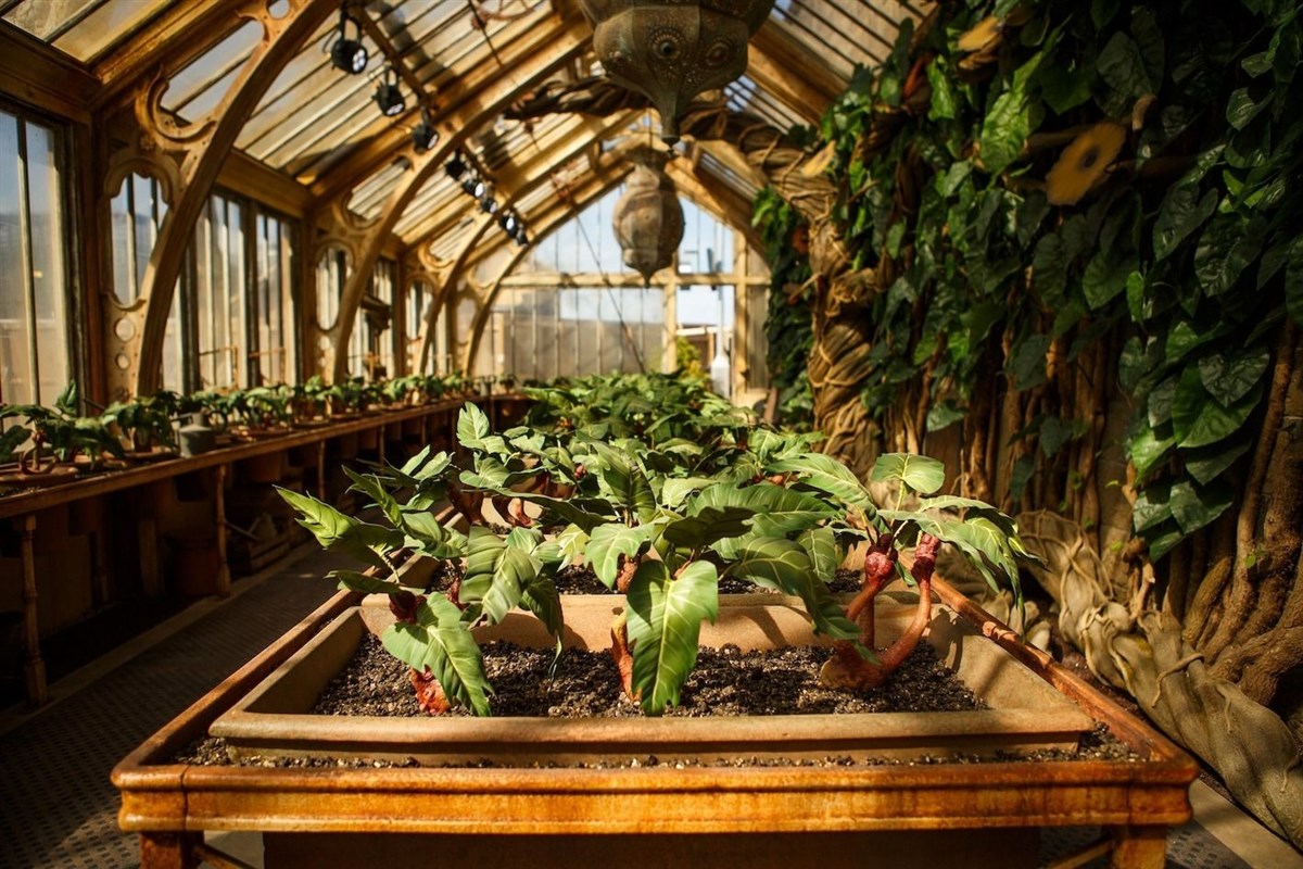The Making of Harry Potter - Watford | Attractions & Activities ...