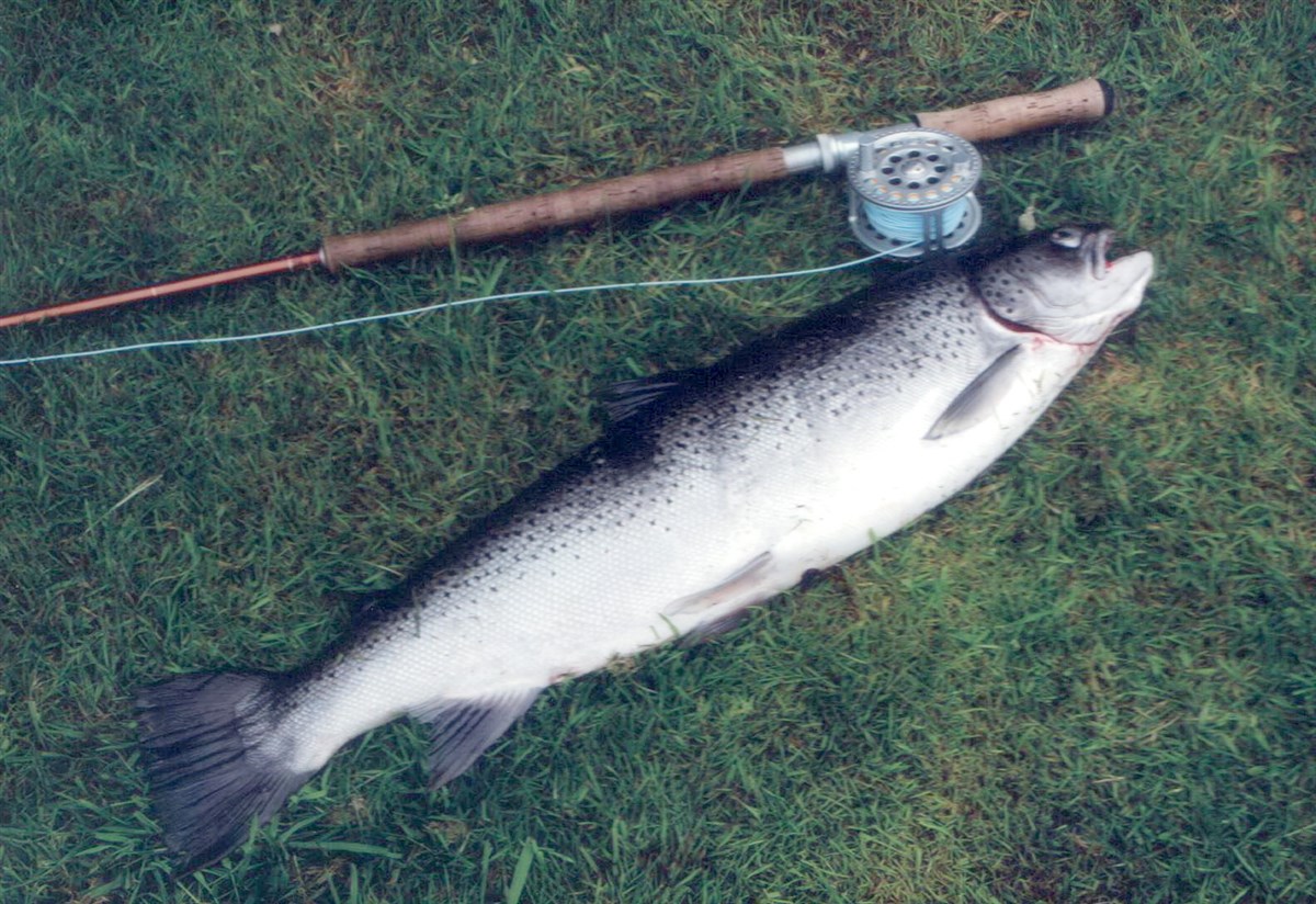 FishPal - Scotland - Ythan And Ugie - Ugie Angling Association