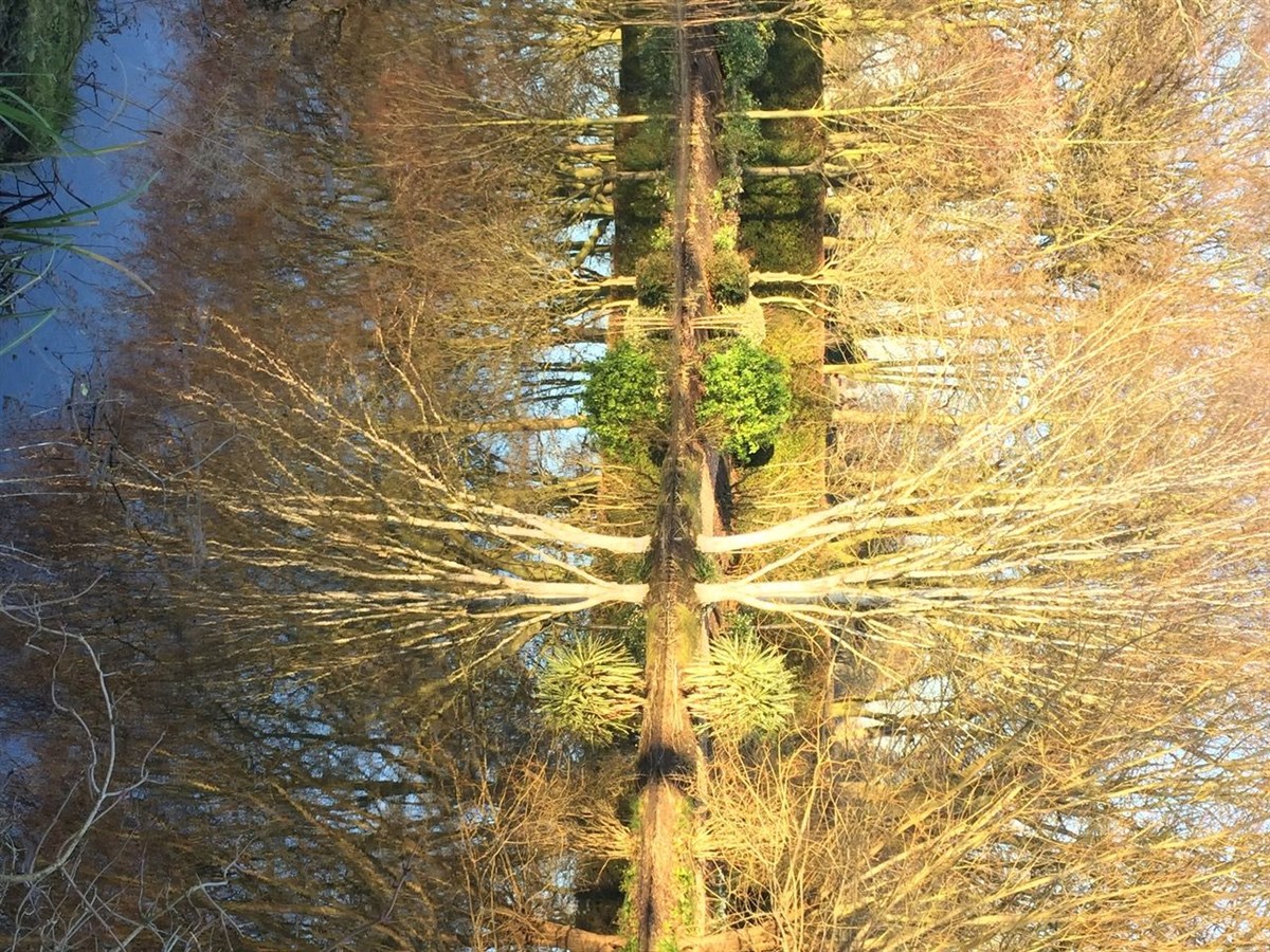 Chippenham Park Garden - Chippenham | Gardens | Britain's Finest