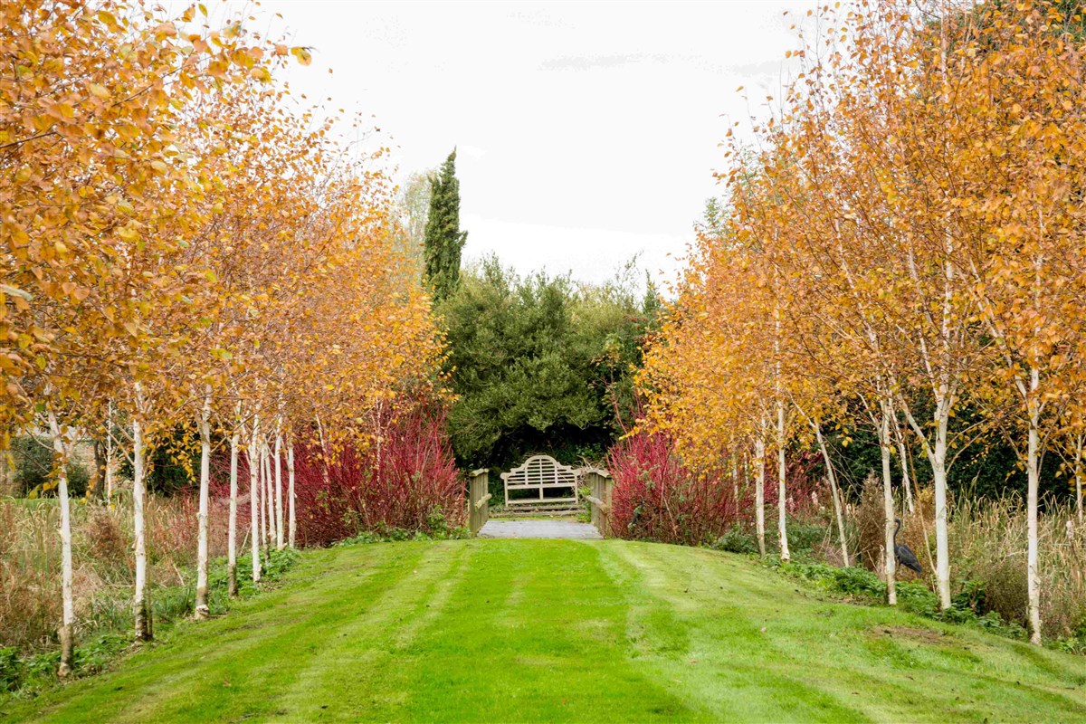 Chippenham Park Garden - Chippenham | Gardens | Britain's Finest