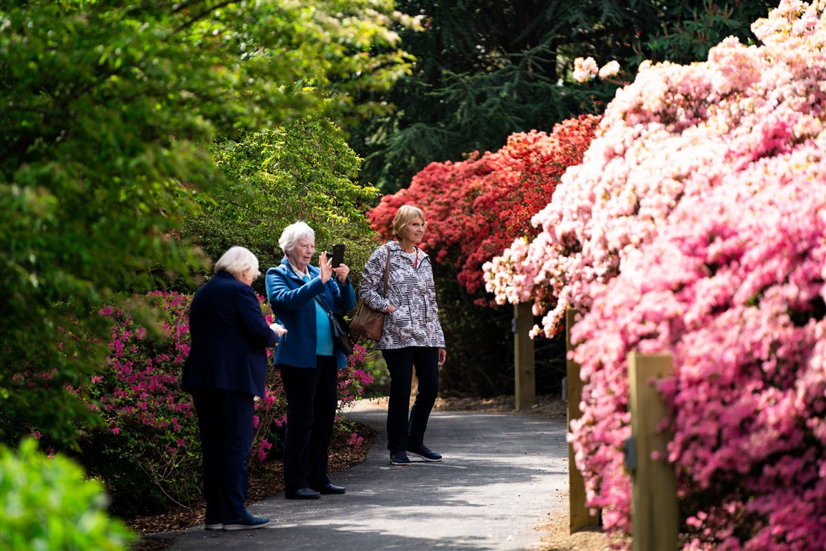 Leonardslee Lakes & Gardens - Horsham | Gardens | Britain's Finest