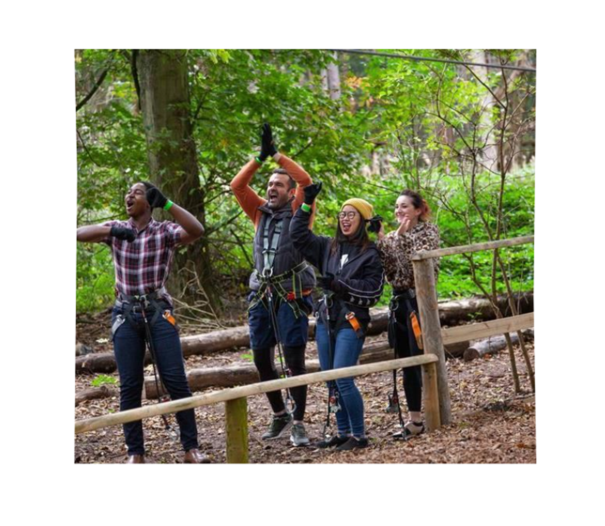 Go Ape Cannock Chase - Rugeley | Attractions & Activities | Britain's ...