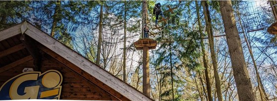 Go Ape Wyre Forest - Bewdley | Attractions & Activities | Britain's Finest