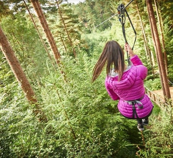 Go Ape Haldon Forest - Exeter | Attractions & Activities | Britain's Finest