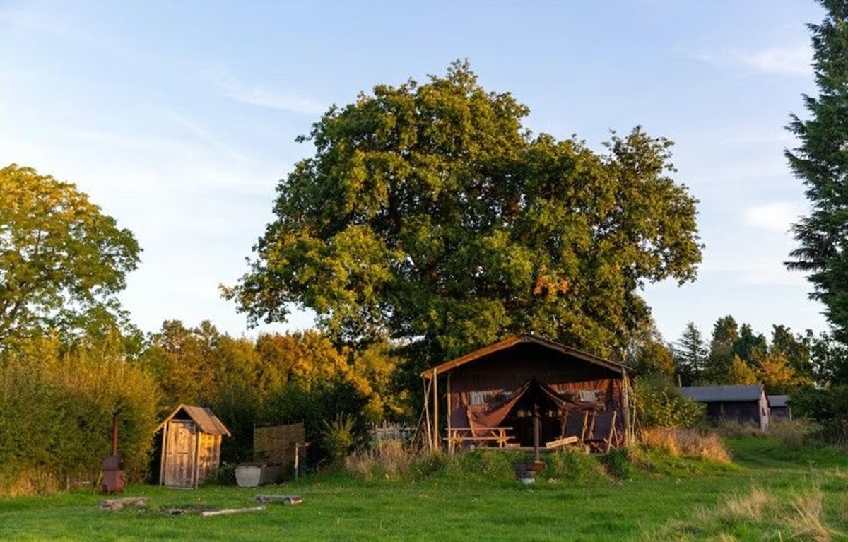 Feather Down Manor Farm - Alton | Glamping | Britain's Finest
