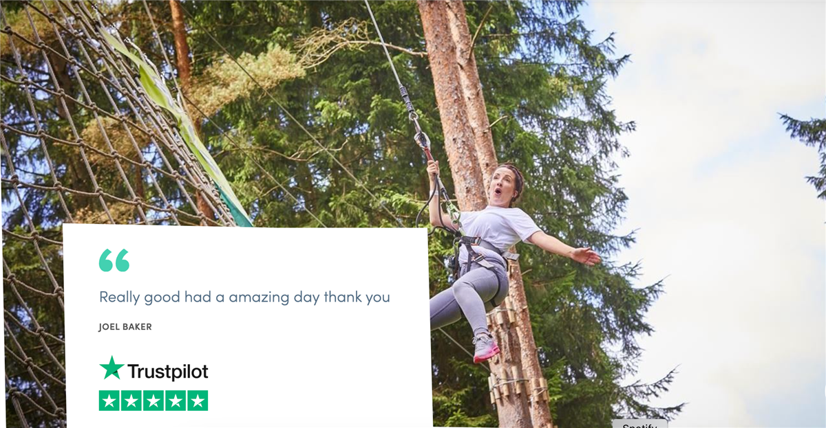 Go Ape Whinlatter Forest - Keswick | Attractions & Activities | Britain ...