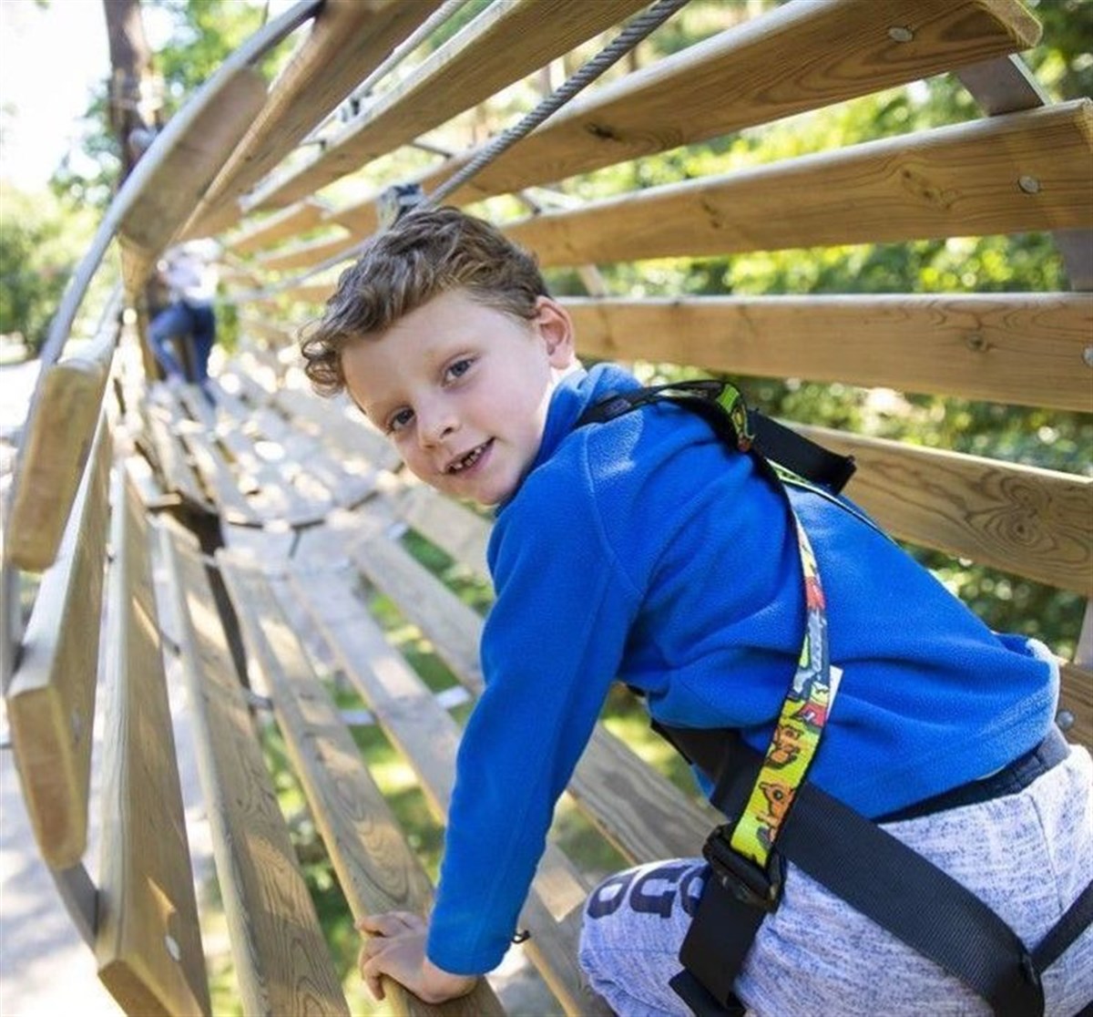 Go Ape Alice Holt Forest - Farnham | Attractions & Activities | Britain ...