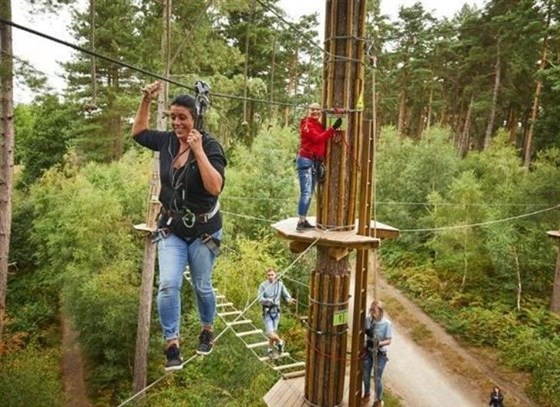 Go Ape Alice Holt Forest - Farnham | Attractions & Activities | Britain ...