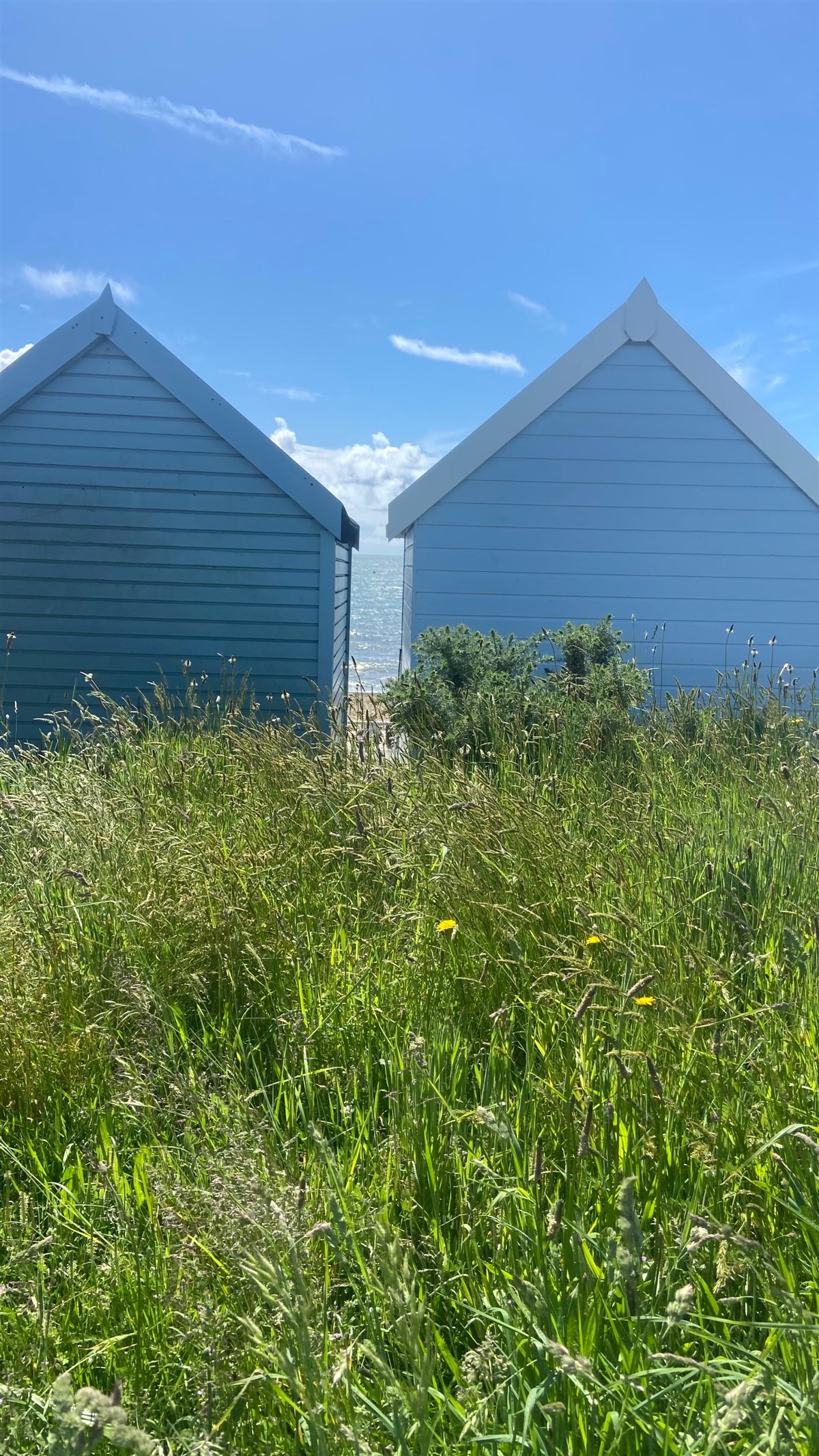 143 Huty McHutface - Friar's Cliff Beach | Rent | Beach Huts
