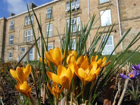 Gilsland Hall Hotel, Cumbria, Hotel | Best price guarantee