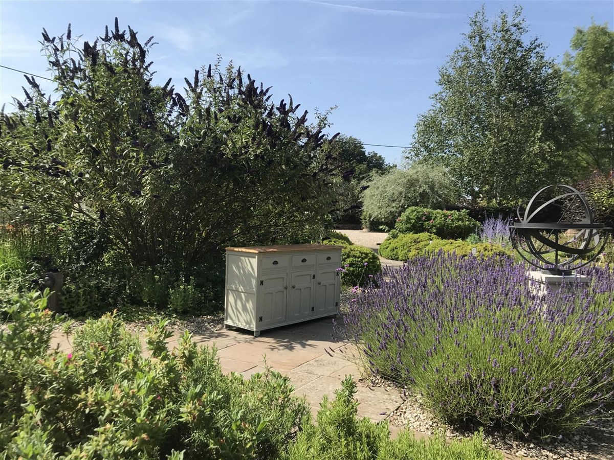 The Mole Inn | Guest B&B - Book Now | University Rooms